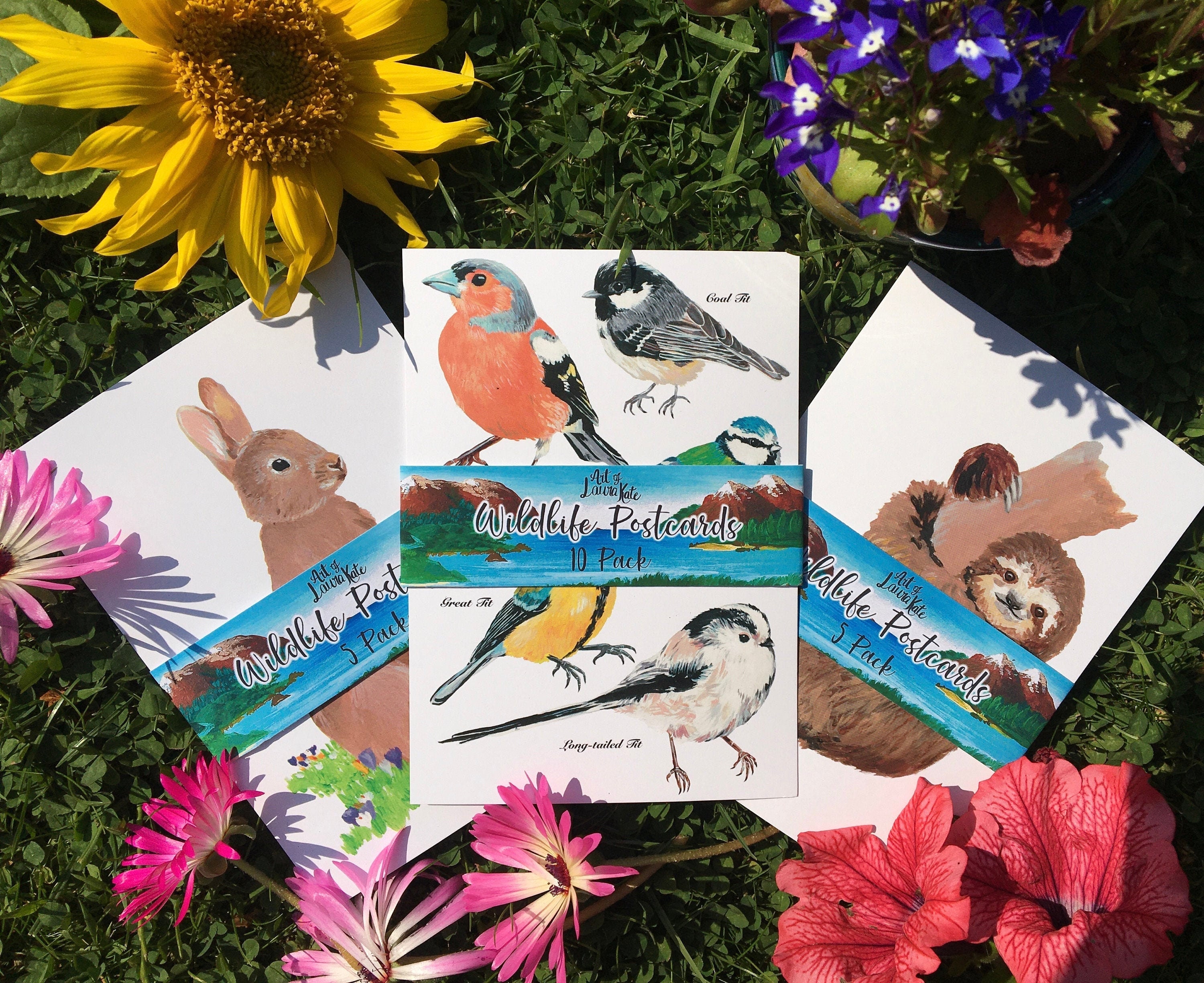 Wildlife Postcard Variety Pack A6 Collectable Animal Handmade Gifts of ...