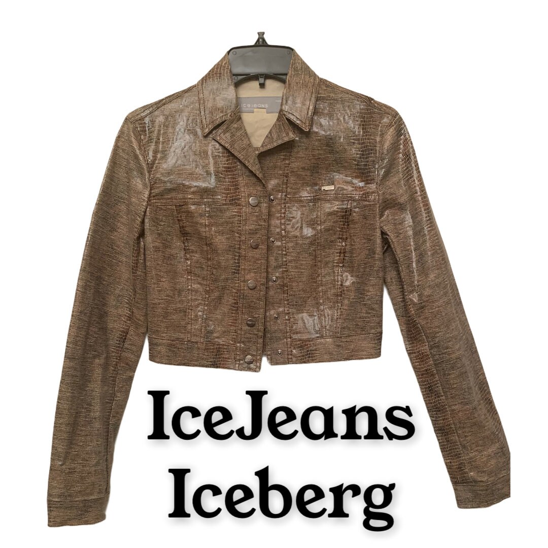 Vintage Ice Jeans Iceberg Jacket - Etsy