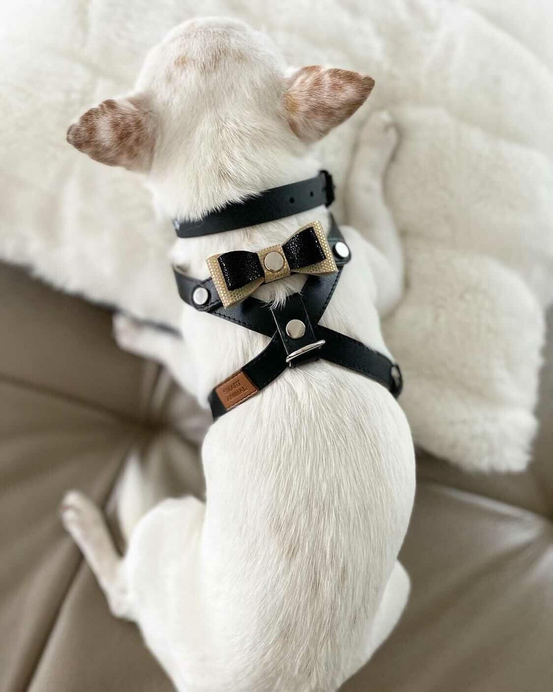 Dog Harness With Bow / Leather Pet Accessories / Natural Leather ...