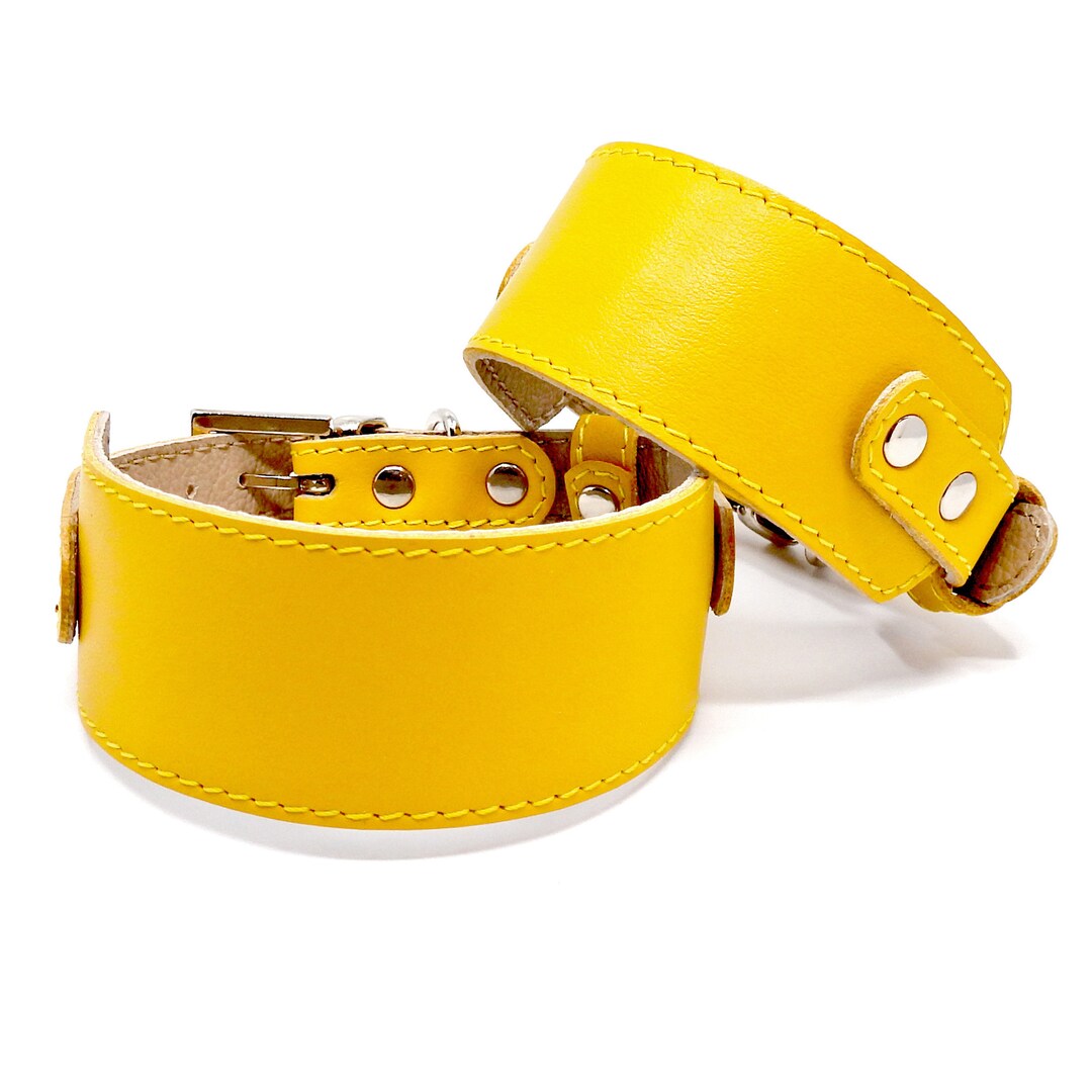 Natural Leather Greyhound Collar/italian Greyhound Collar/whippet ...