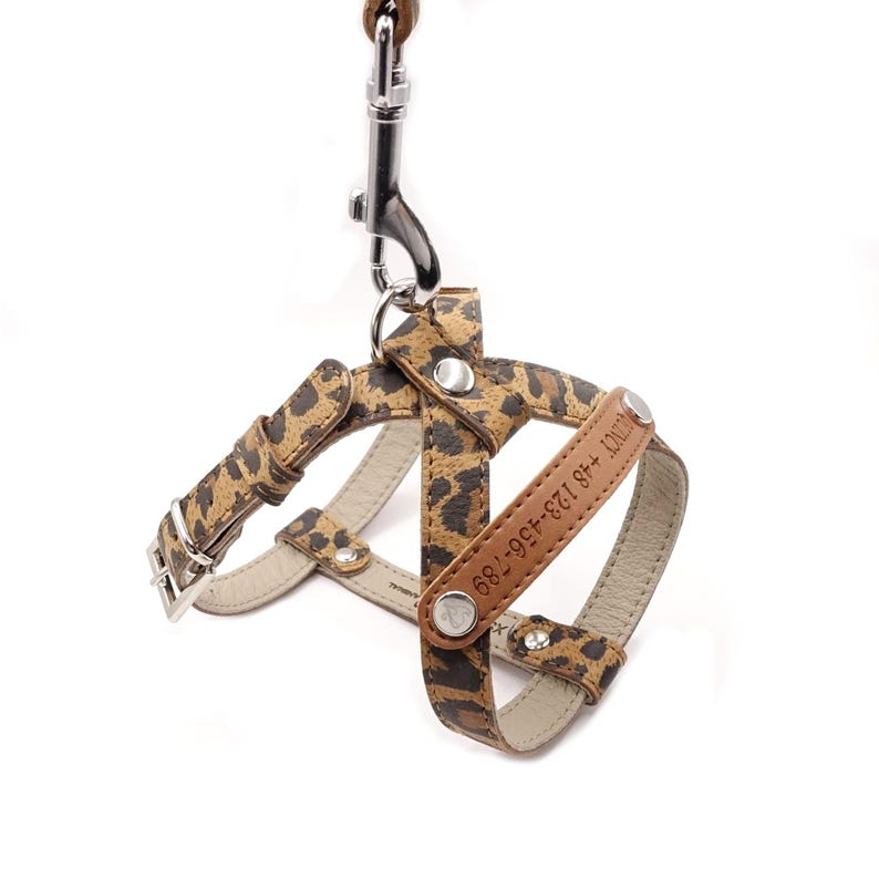 Designer dog harness / dog harness with bow tie / dog accessories ...