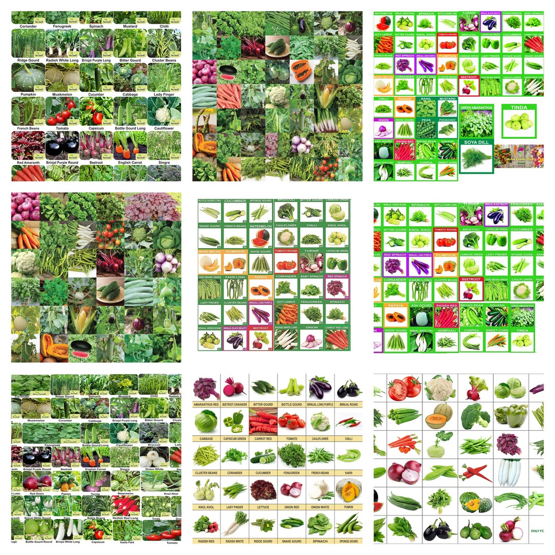 Mixed Indian Natural Organic Vegetable Seeds and Fruit Seed for Terrace ...
