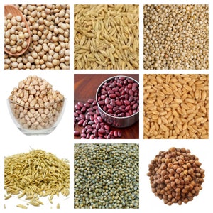 100% Natural Indian Organic Whole Multi Grain (gehu/wheat,makka/corn ...