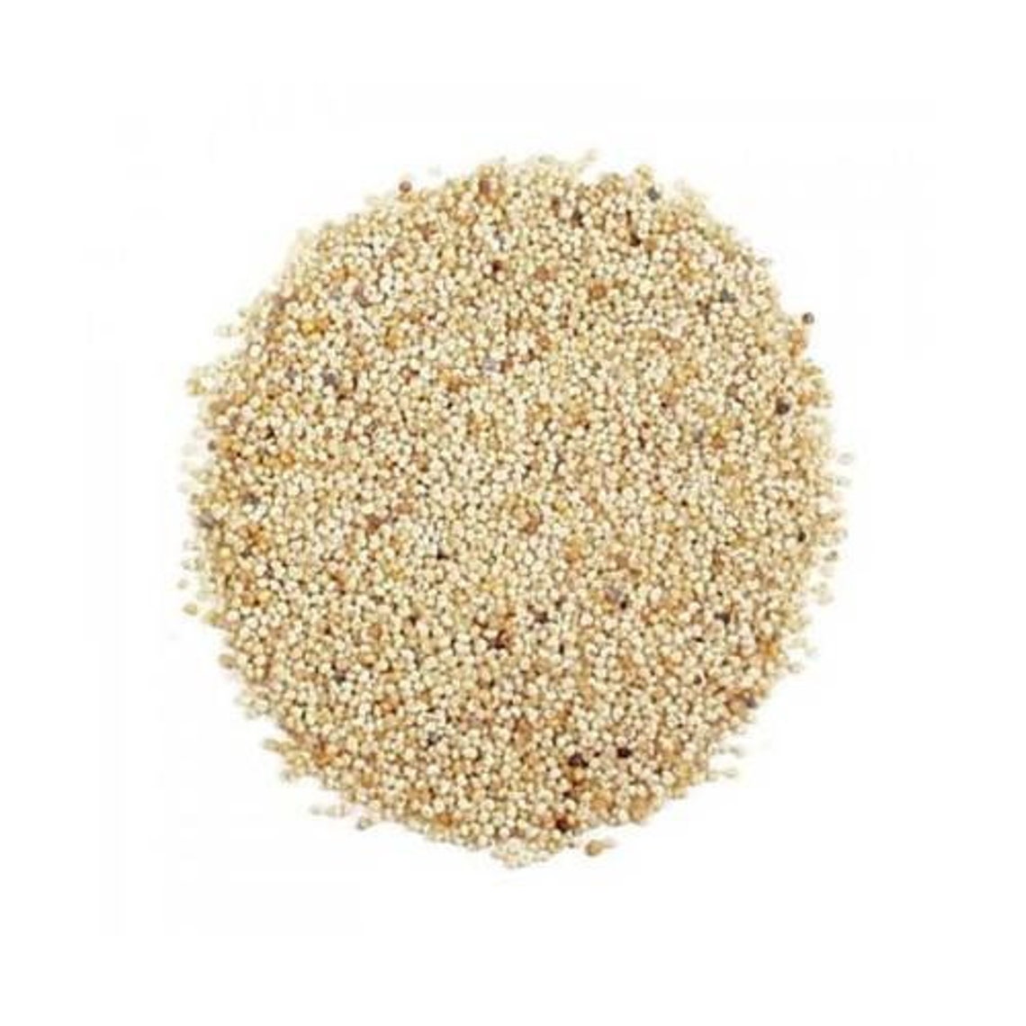 100% Natural Organic Indian Poppy Seed - Etsy