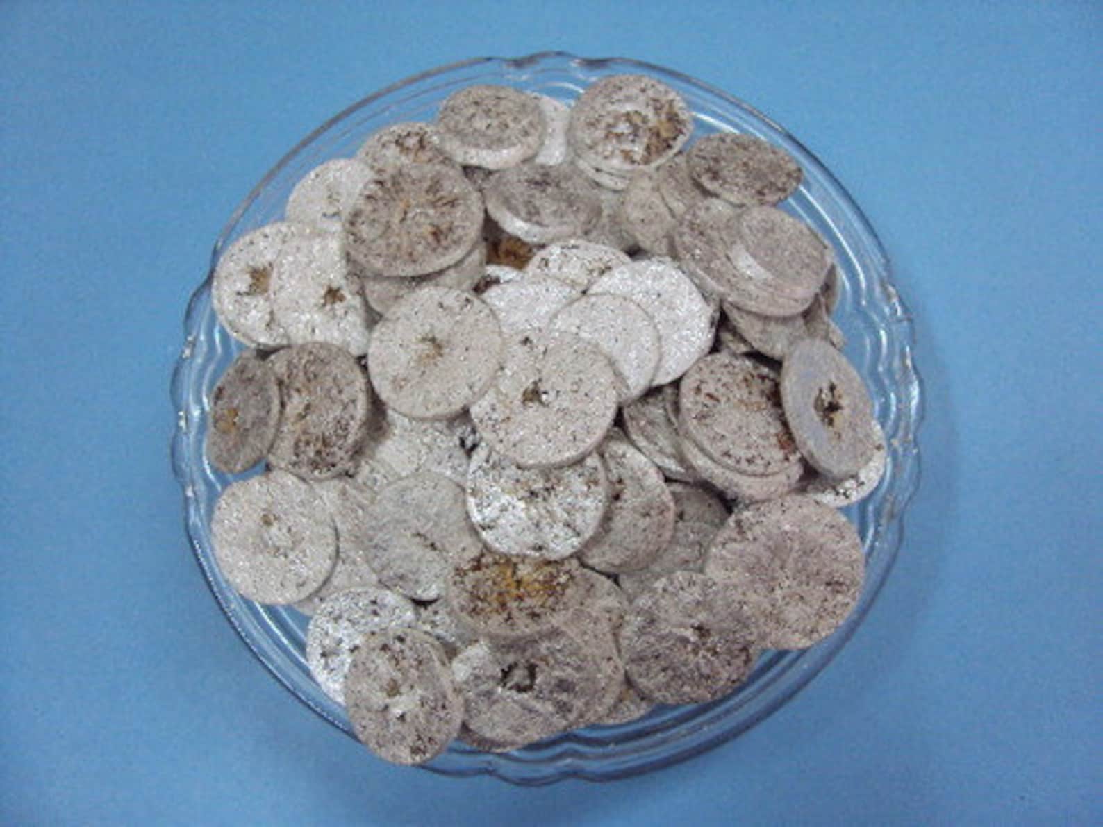 Natural Indian Mouth Freshener Sweet Tasty Multi Flavour Betel Nut ...