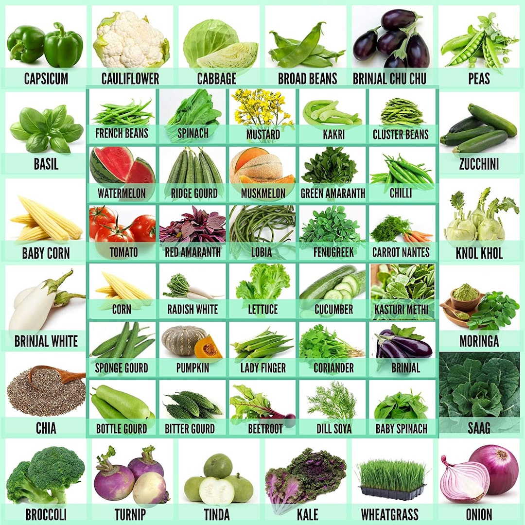 50 Varieties of Vegetable, Fruits & Herbs Seeds for Kitchen Garden ...