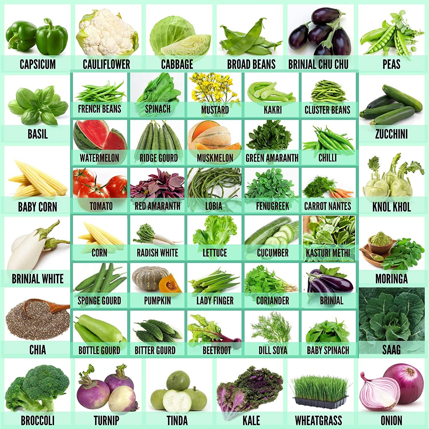 Seed Vegetables List