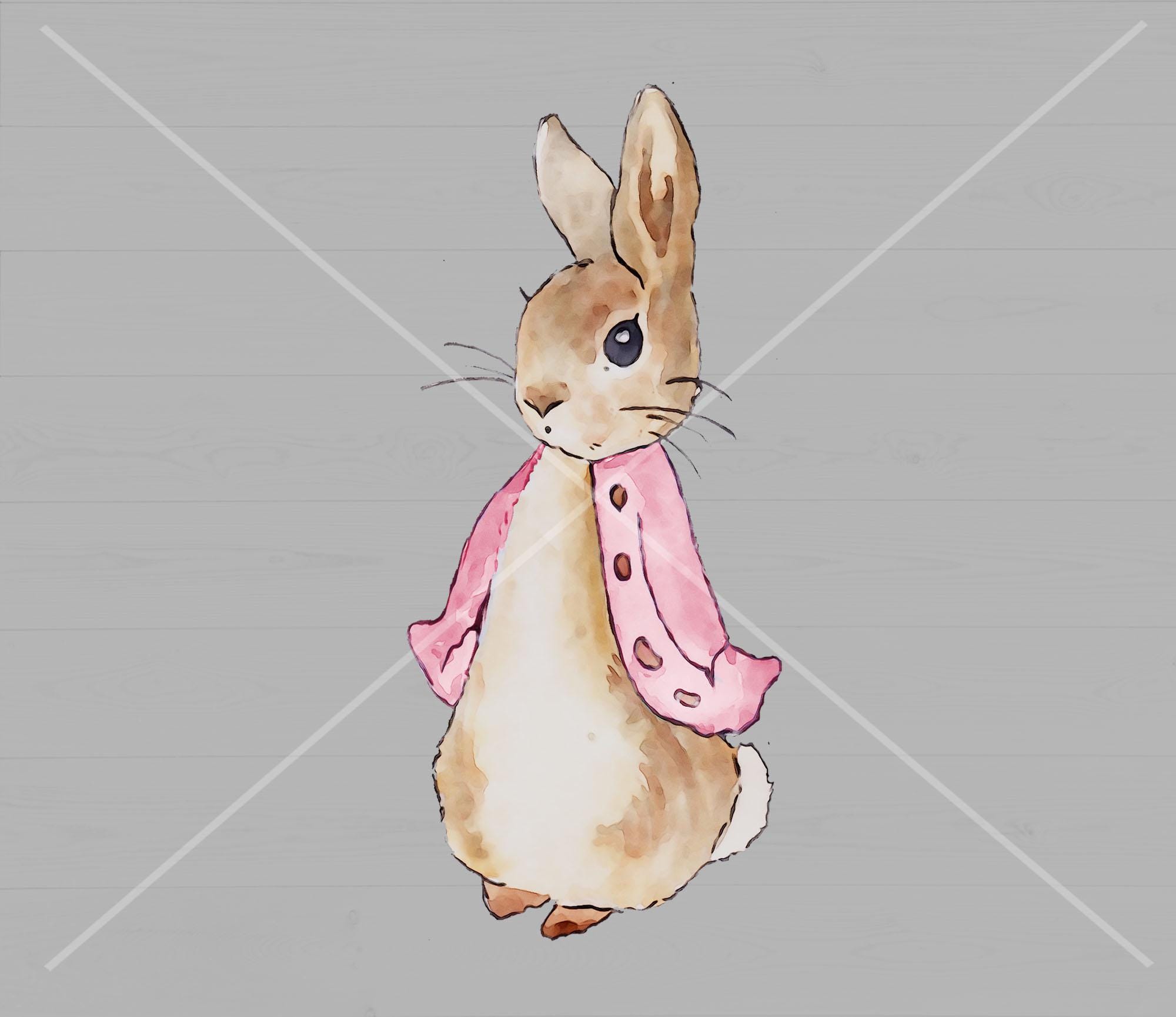 Peter Rabbit Pink PNG, Girl Peter Rabbit Clip Art, Instant Digital ...