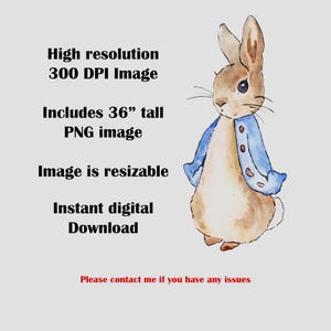 Peter Rabbit Large Cutout Prop, Peter Rabbit Standee, Instant Digital ...