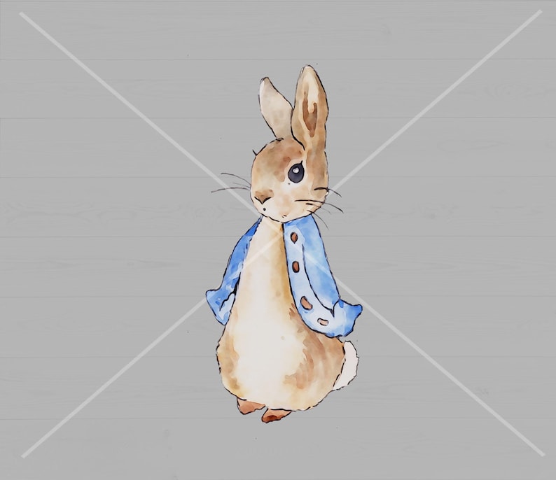Peter Rabbit Png, Peter Rabbit Clip Art, Instant Digital Download - Etsy