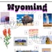 Wyoming the 44th State Savings Challenge and Cash Envelope - Etsy