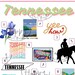 Tennessee the 16th State Savings Challenge and Cash Envelope - Etsy