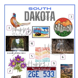 South Dakota the 40th State Savings Challenge and Cash Envelope - Etsy