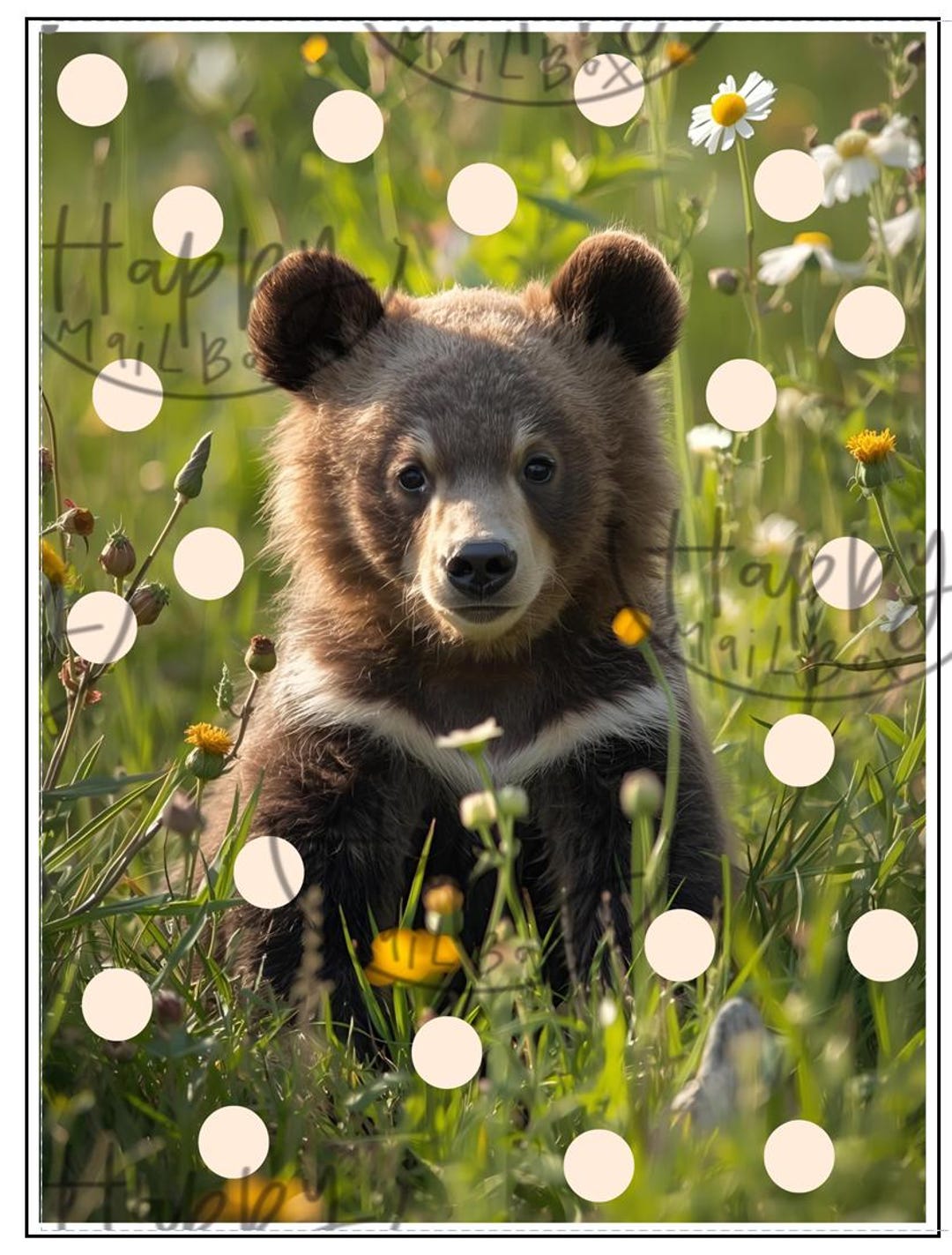 Bear Roll and Save With Cash Envelope | Nature Lover Series | Challenge ...
