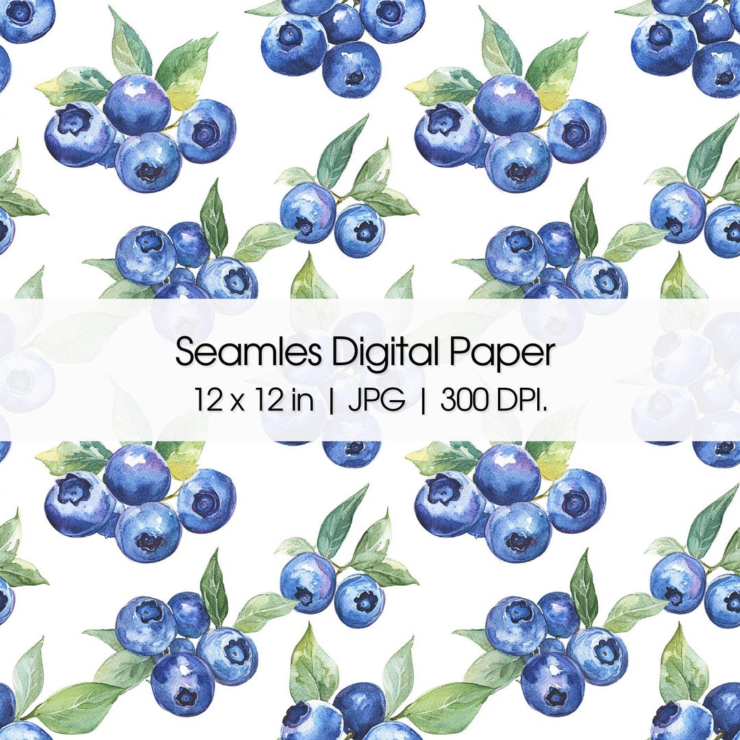 Blueberry Seamless Pattern, Fruit Seamless, White Background, Summer ...