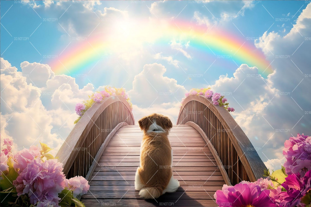 Rainbow Bridge Digital Backdrop, Pets Memorial Background, Pet Loss ...