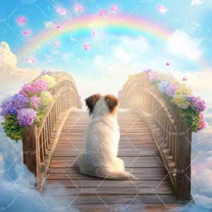 Rainbow Bridge Digital Backdrop, Pets Memorial Background, Pet Loss ...