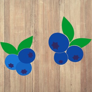 Blueberries SVG Cut File, Fruit Svg, Cricut Files, Silhouette ...
