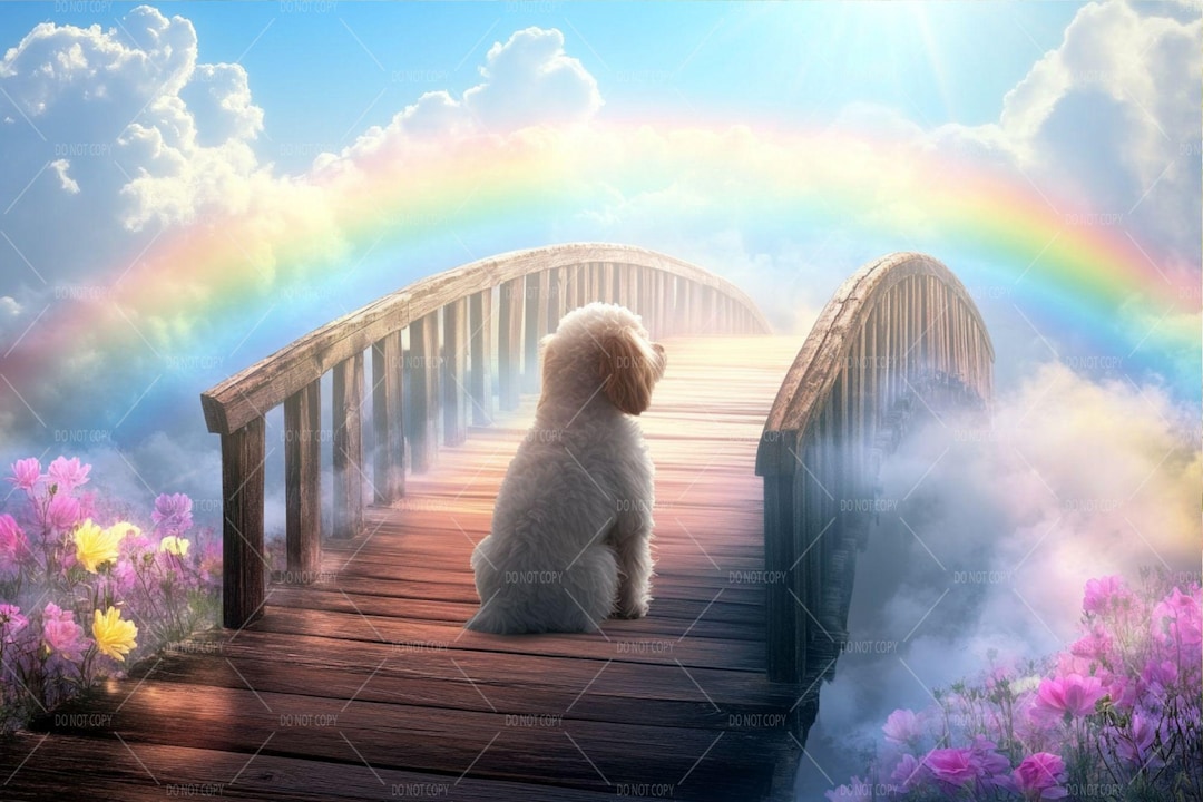 Rainbow Bridge Digital Backdrop, Pets Memorial Background, Pet Loss ...
