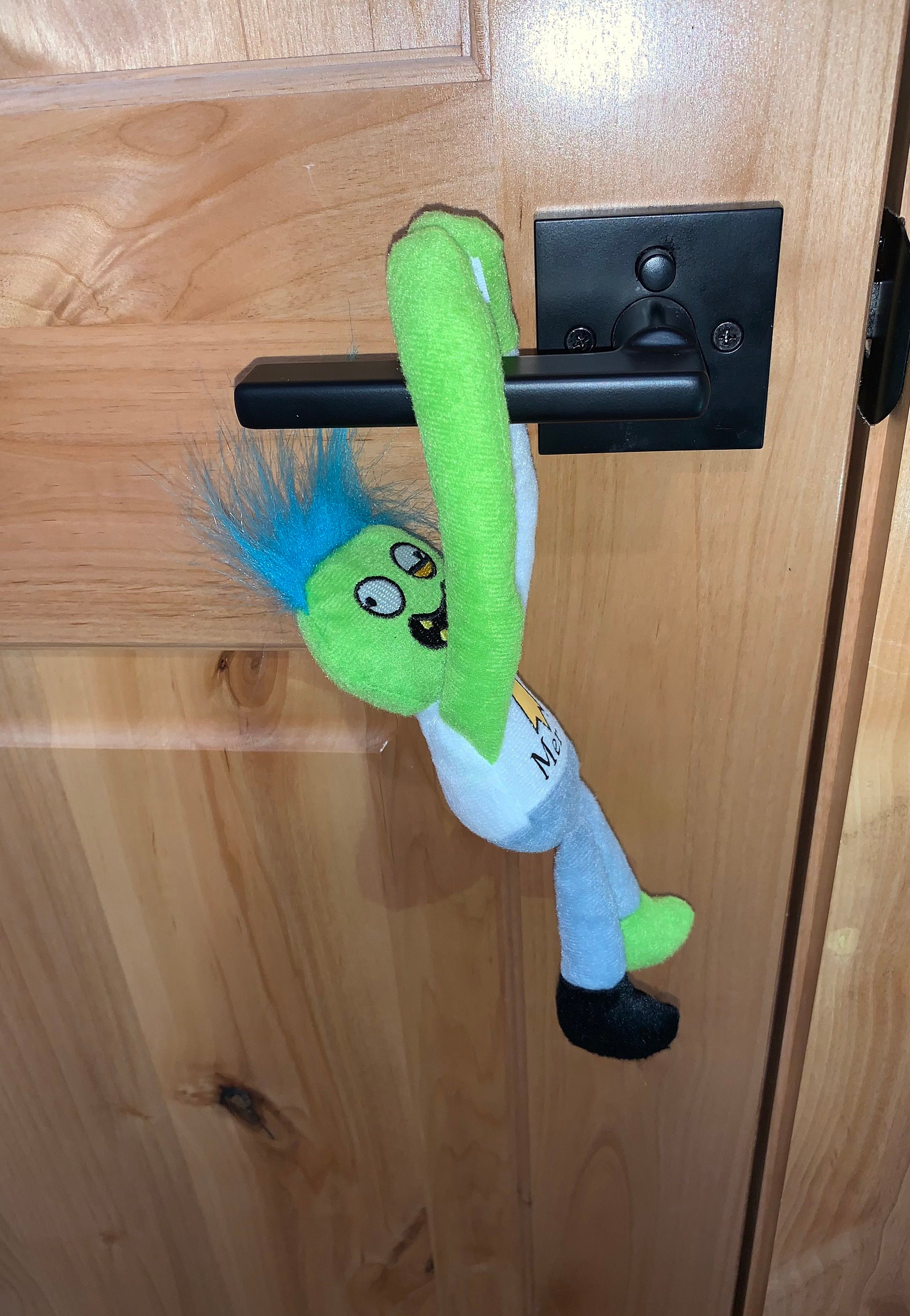 Long Arm Zombie Buddy Plushie - Personalized Pink, Green, Blue Options ...