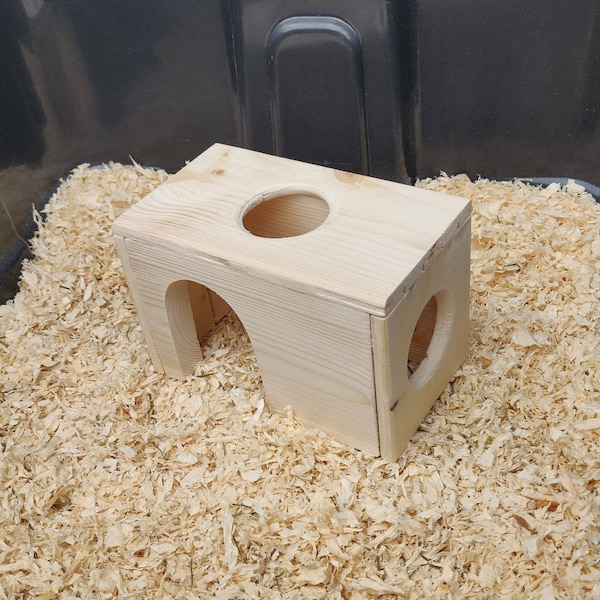 Small Animal House - Etsy