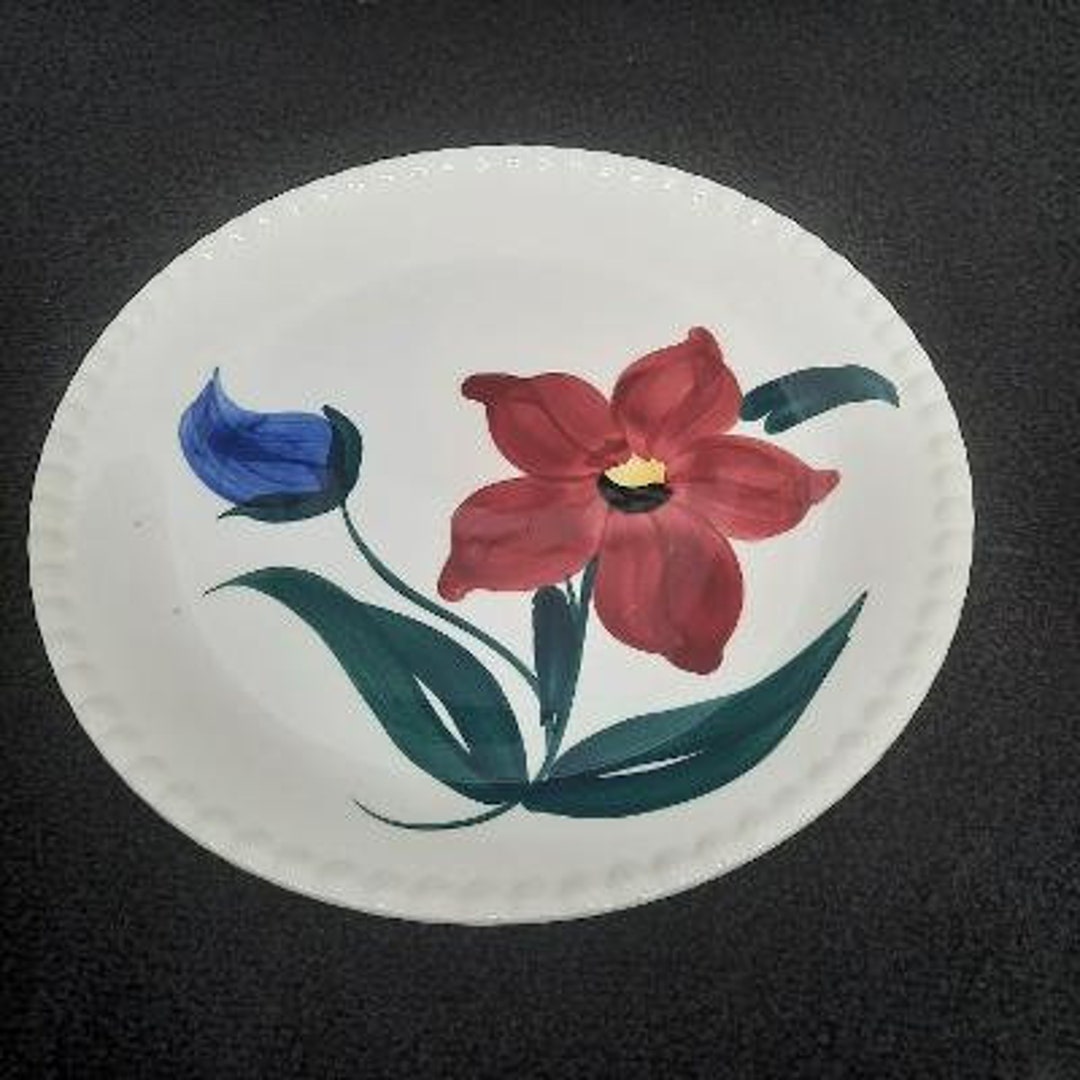 Blue Ridge Southern Potteries Amelia Pattern Dinnerware Pieces Made in ...