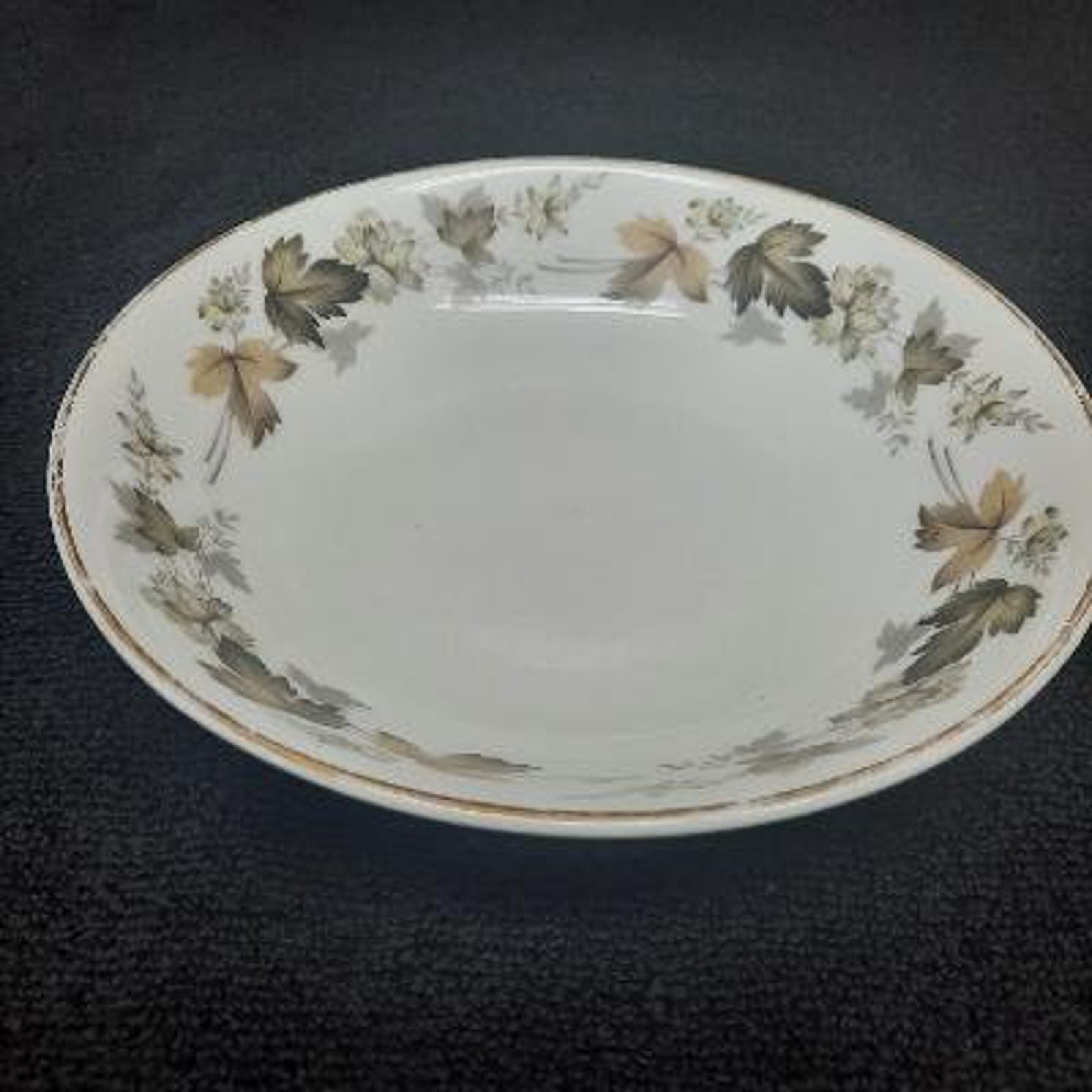Royal Doulton Translucent China Larchmont TC1019 Pattern Dinnerware ...