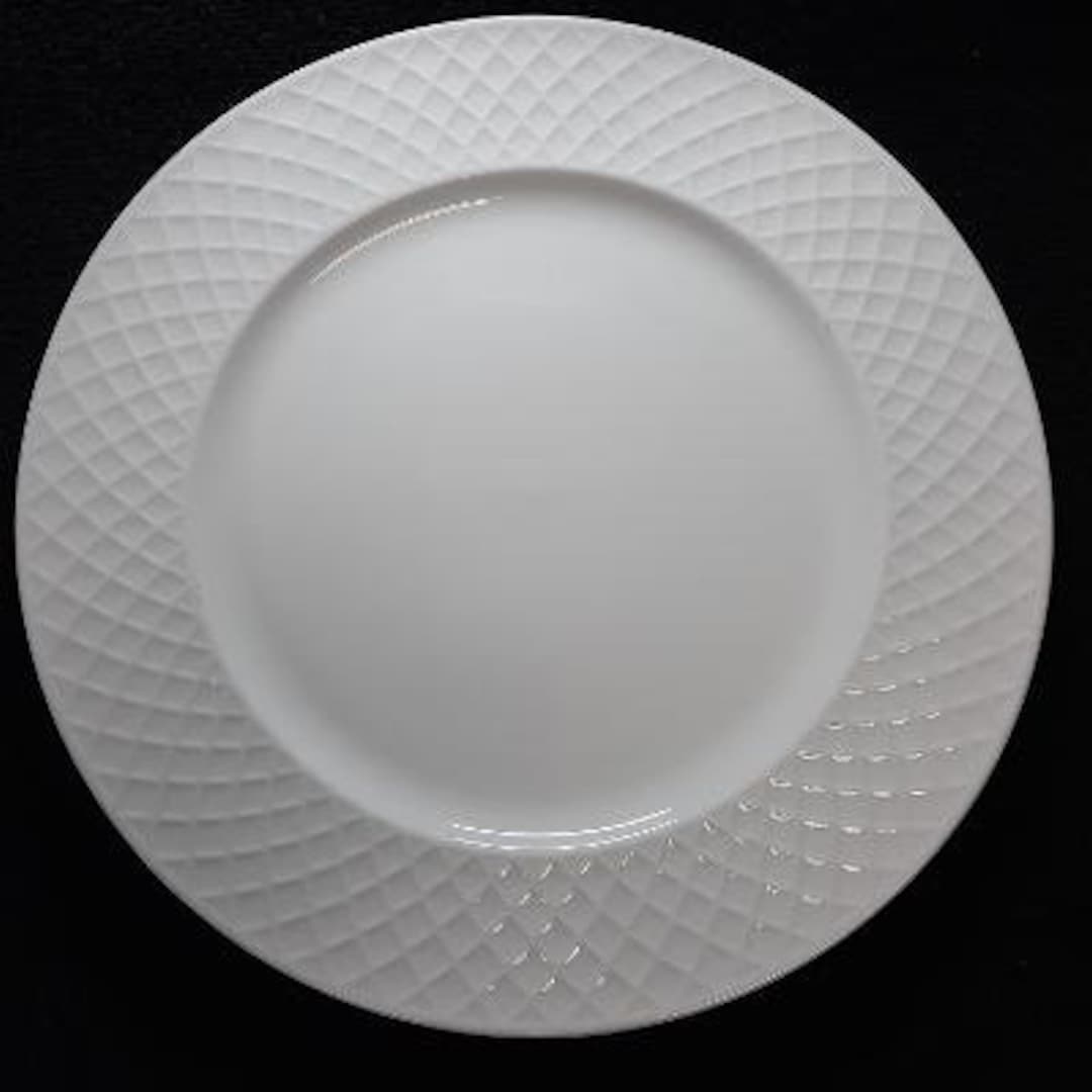 Mikasa Bone China Trellis Pattern Embossed Band Dinner Plate - Etsy