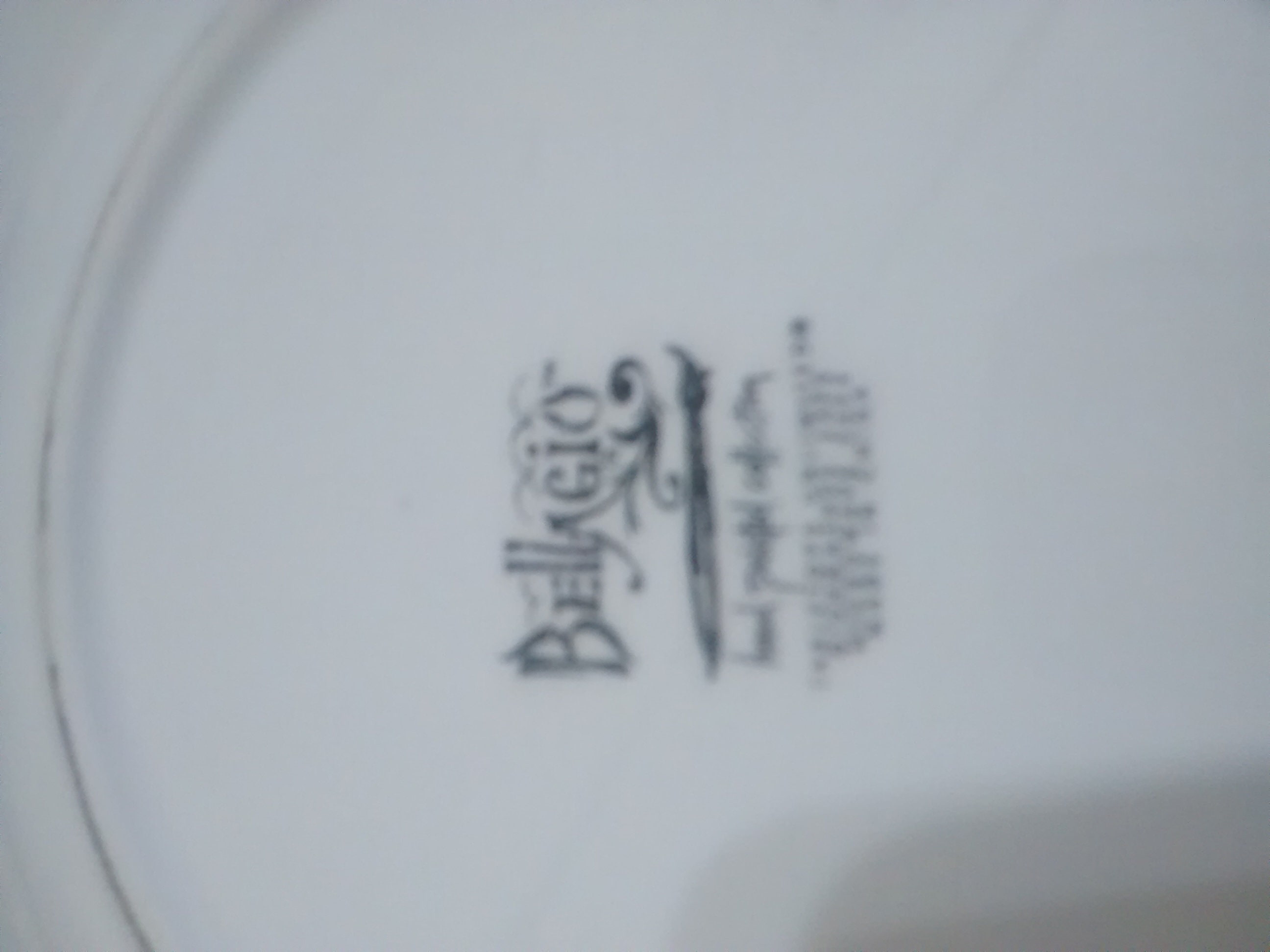 Tabletops Unlimited Bellagio Collection Hand Painted Dinner Plate - Etsy