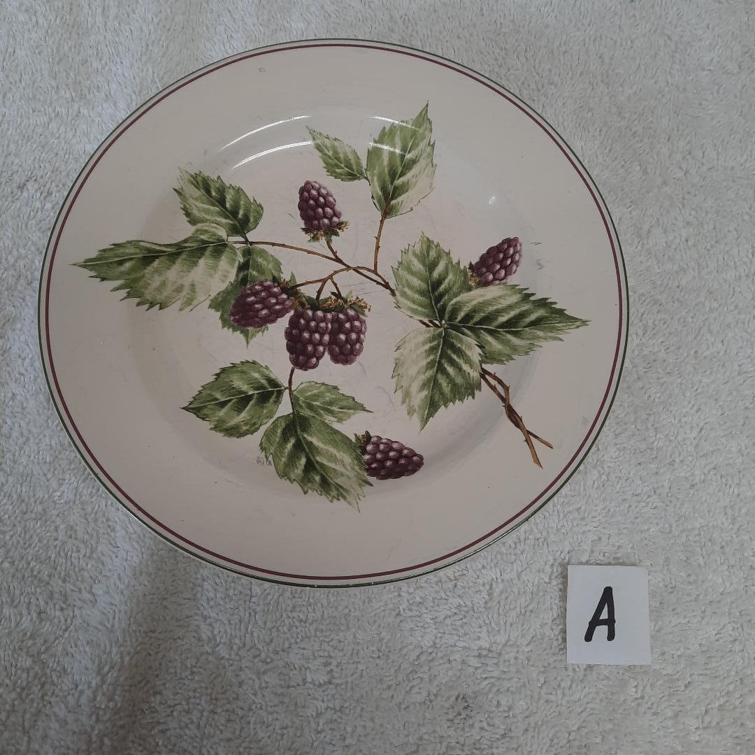 Sakura Casual Dining Oneida Berry Fields Pattern Salad Plate Stoneware ...