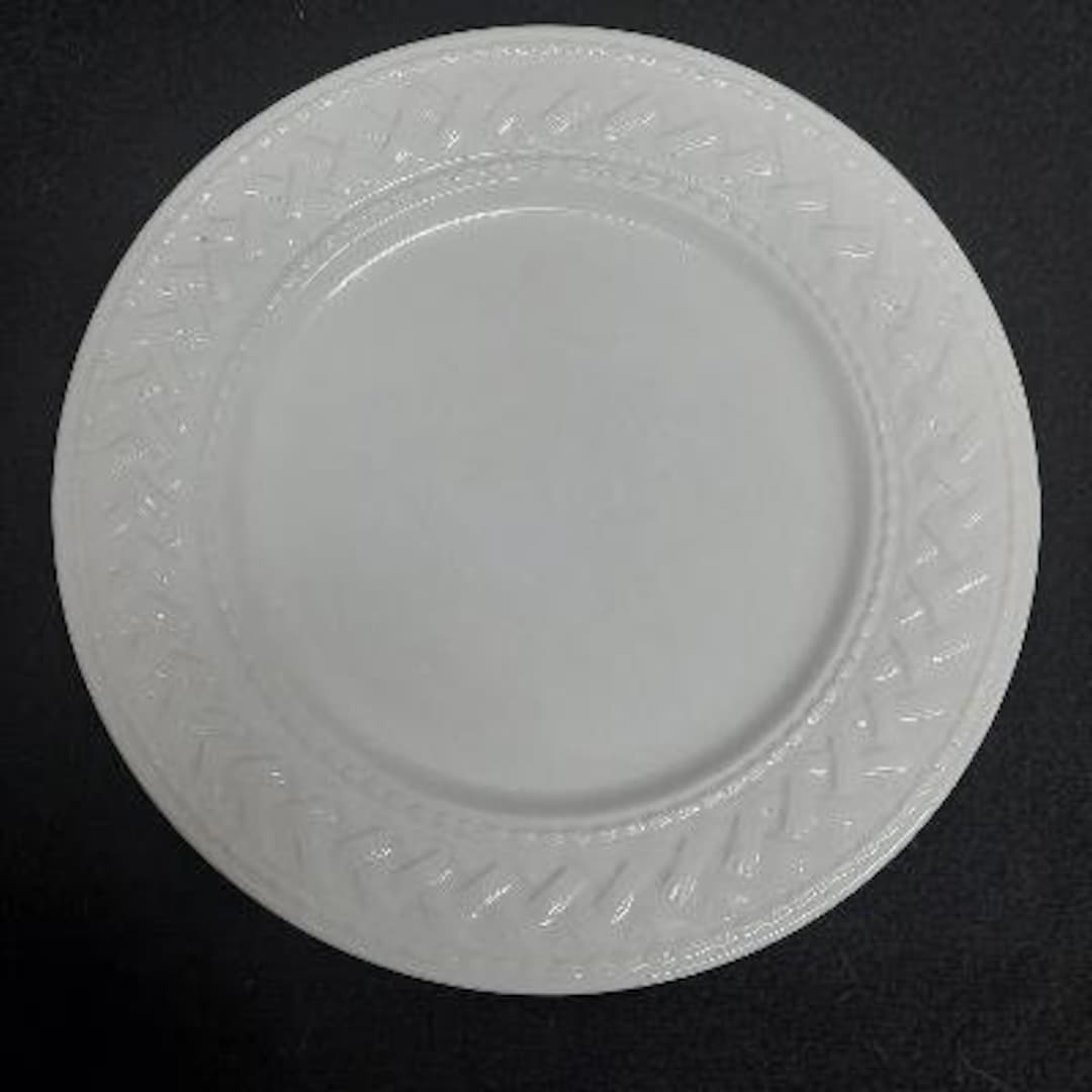 Farberware China Trellis 4562 Pattern Dinner Plate Embossed - Etsy
