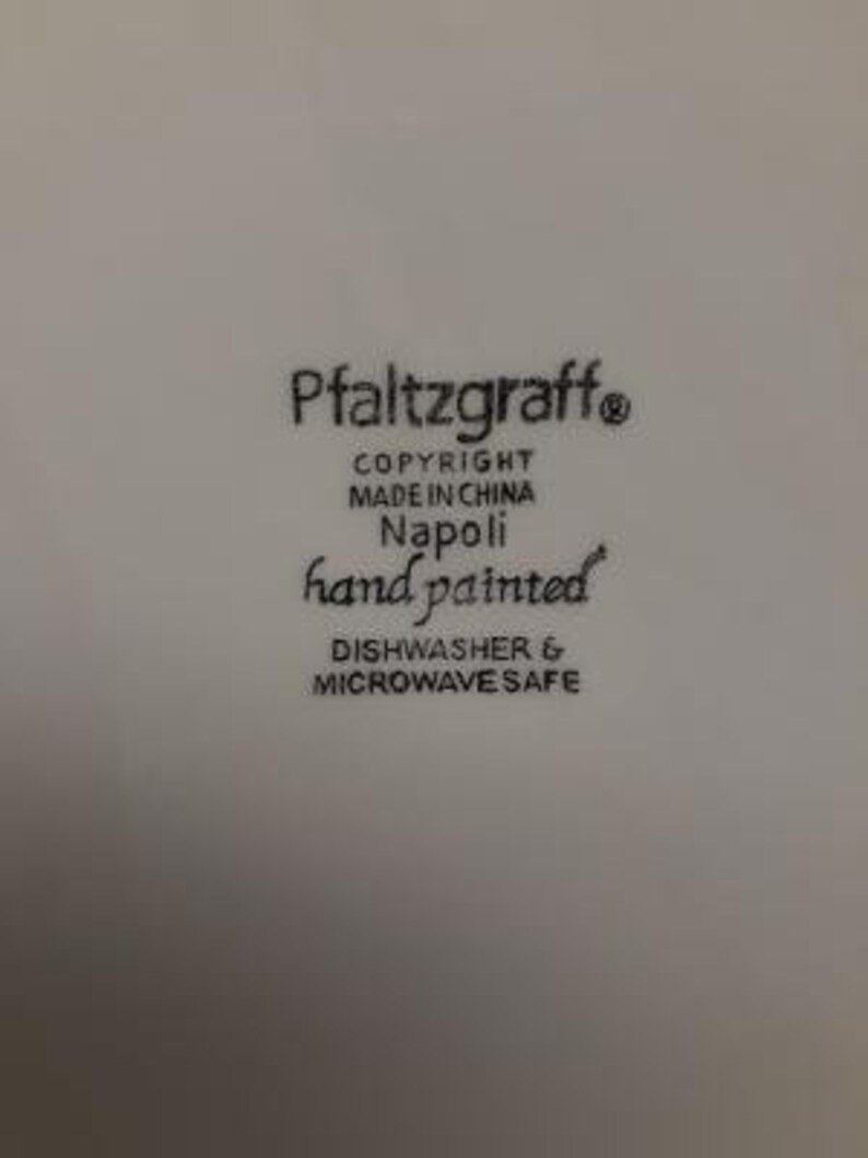 Pfaltzgraff Napoli Pattern Hand Painted Dinner Plate - Etsy