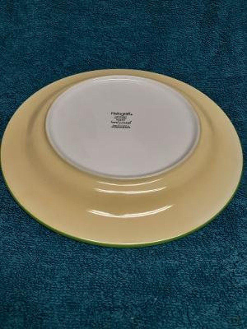 Pfaltzgraff Napoli Pattern Hand Painted Dinner Plate - Etsy