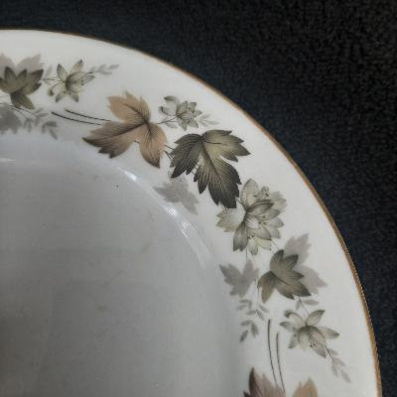 Royal Doulton Translucent China Larchmont TC1019 Pattern Dinnerware ...