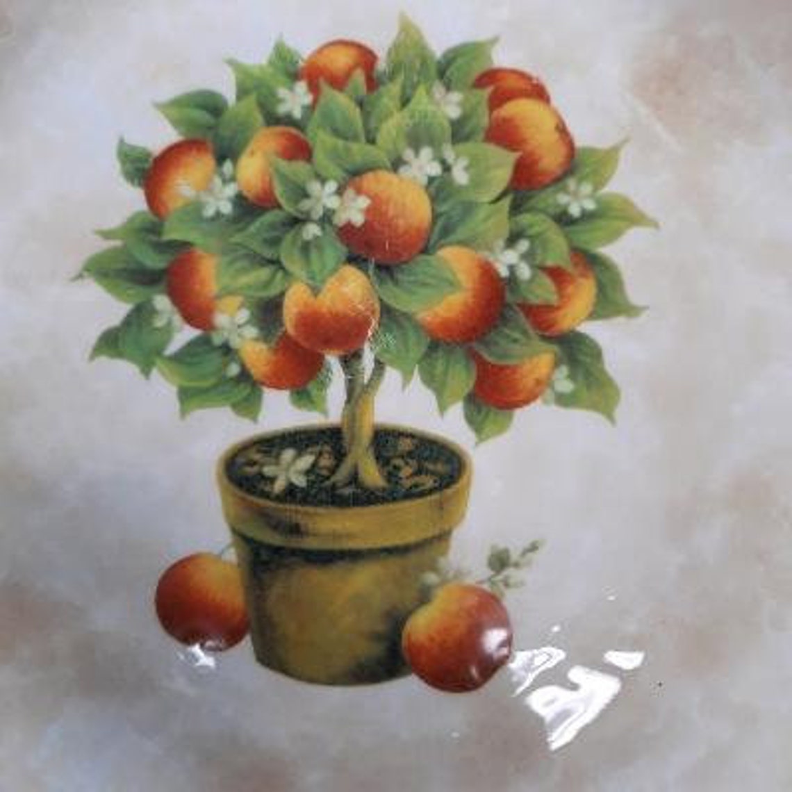 Ceramica Due Torri Potted Peach Pattern Dinner Plate Made in Italy - Etsy