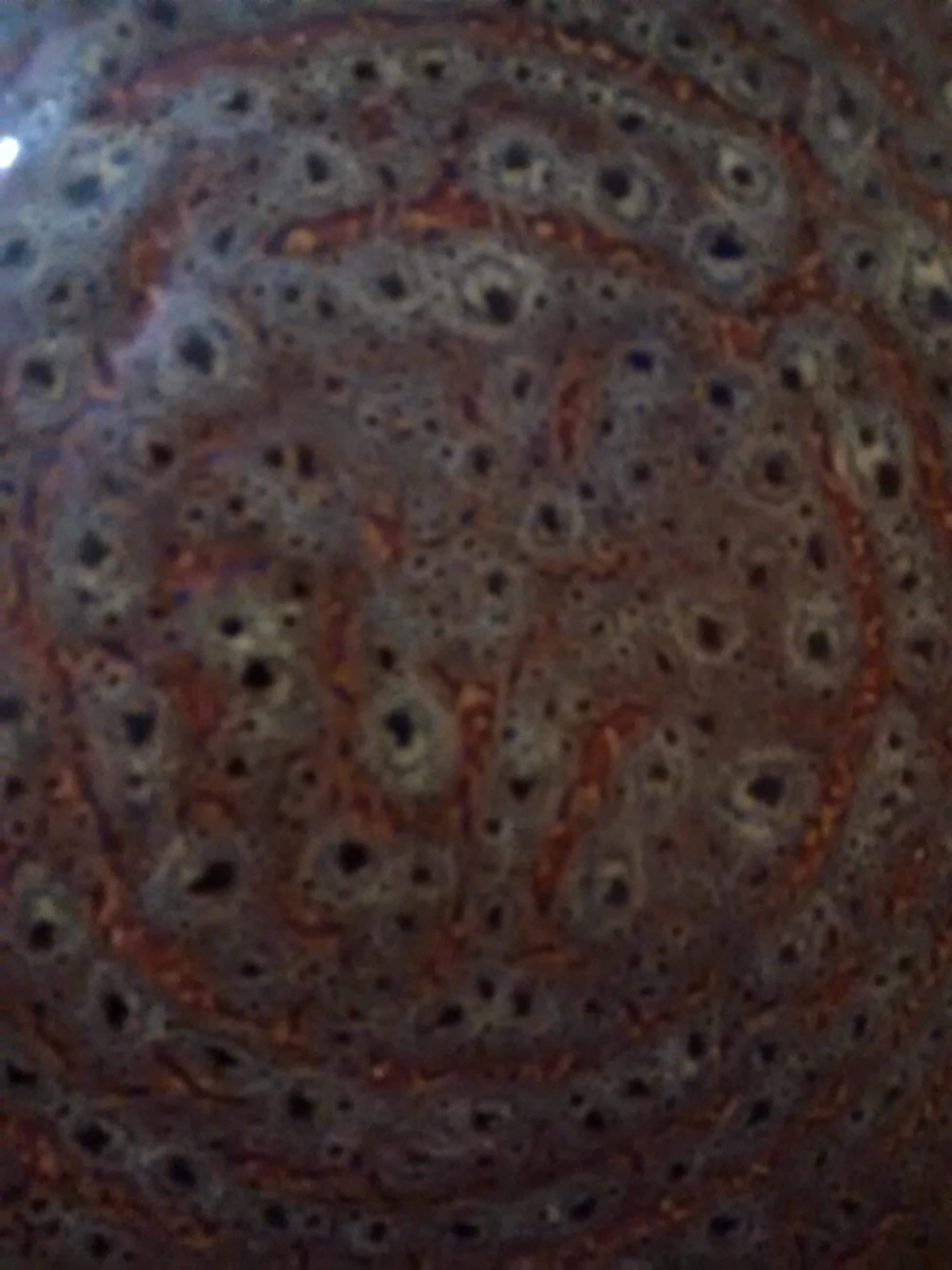Jaclyn Smith Today Series Mottled Brown Pattern Dinner Plate - Etsy