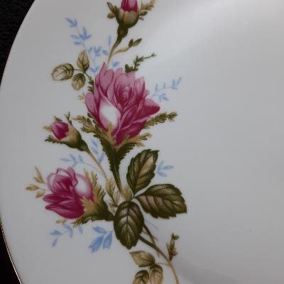 Embassy China Chodziez Moss Rose Pattern Dinner Plate Made in Poland - Etsy