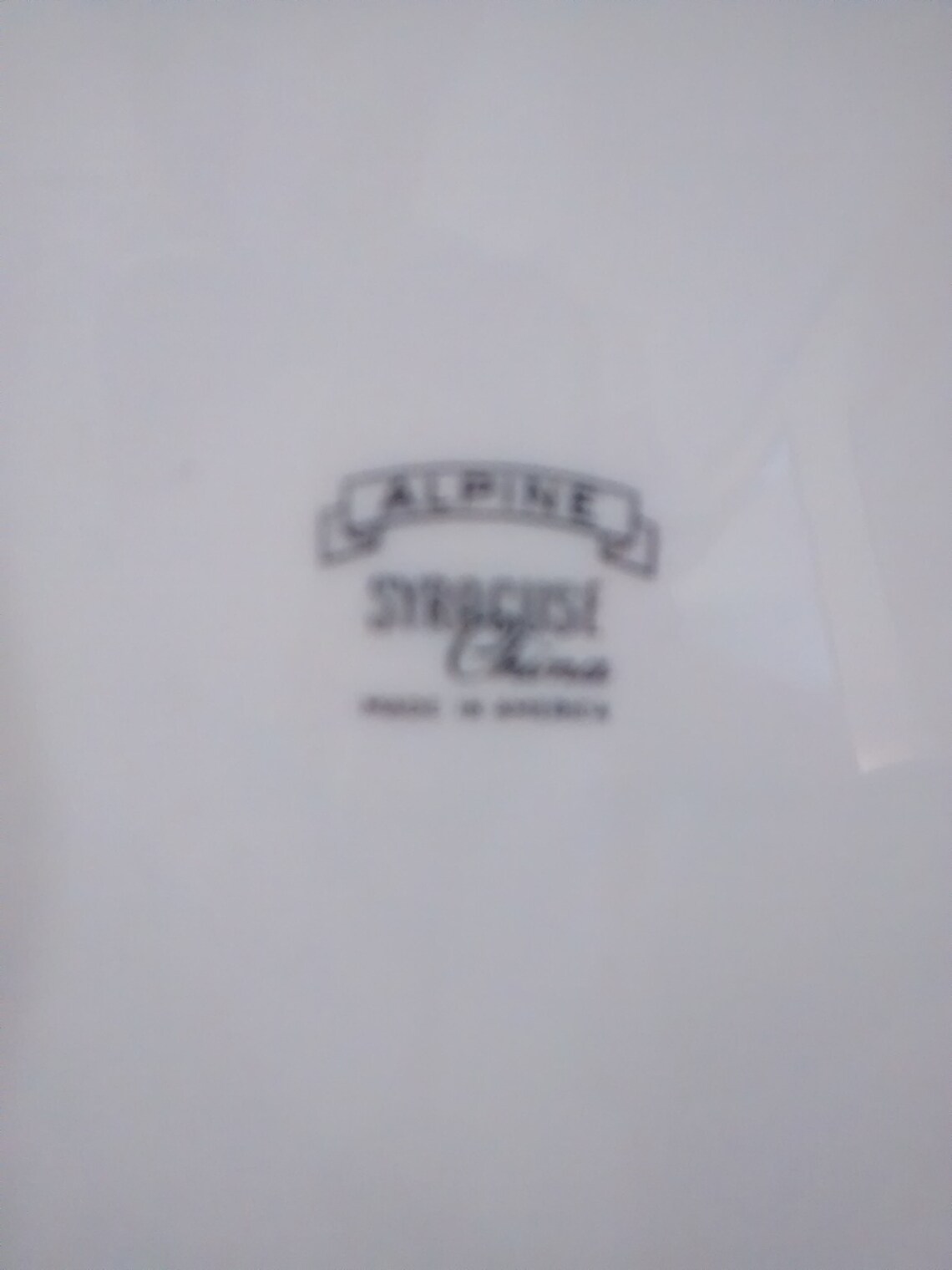 Syracuse China Alpine Pattern Salad Plate Made in America - Etsy