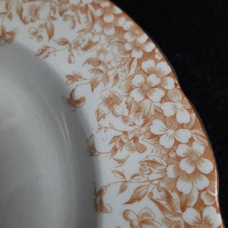 Henry Alcock Semi Porcelain Utopian Brown Pattern Rimmed Soup - Etsy