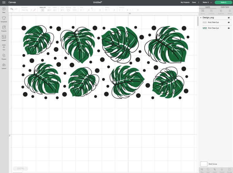 Monstera Glass Wrap Svg Garden Svg Tree Svglibbey 16 Oz - Etsy
