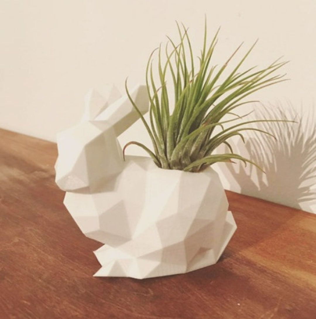 Rabbit Succulent Planter 3D Printed Planter Rabbit Planter Succulent ...