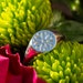 Daisy Signet Ring, Floral Engraved Ring, Flower Signet Ring, Dainty ...