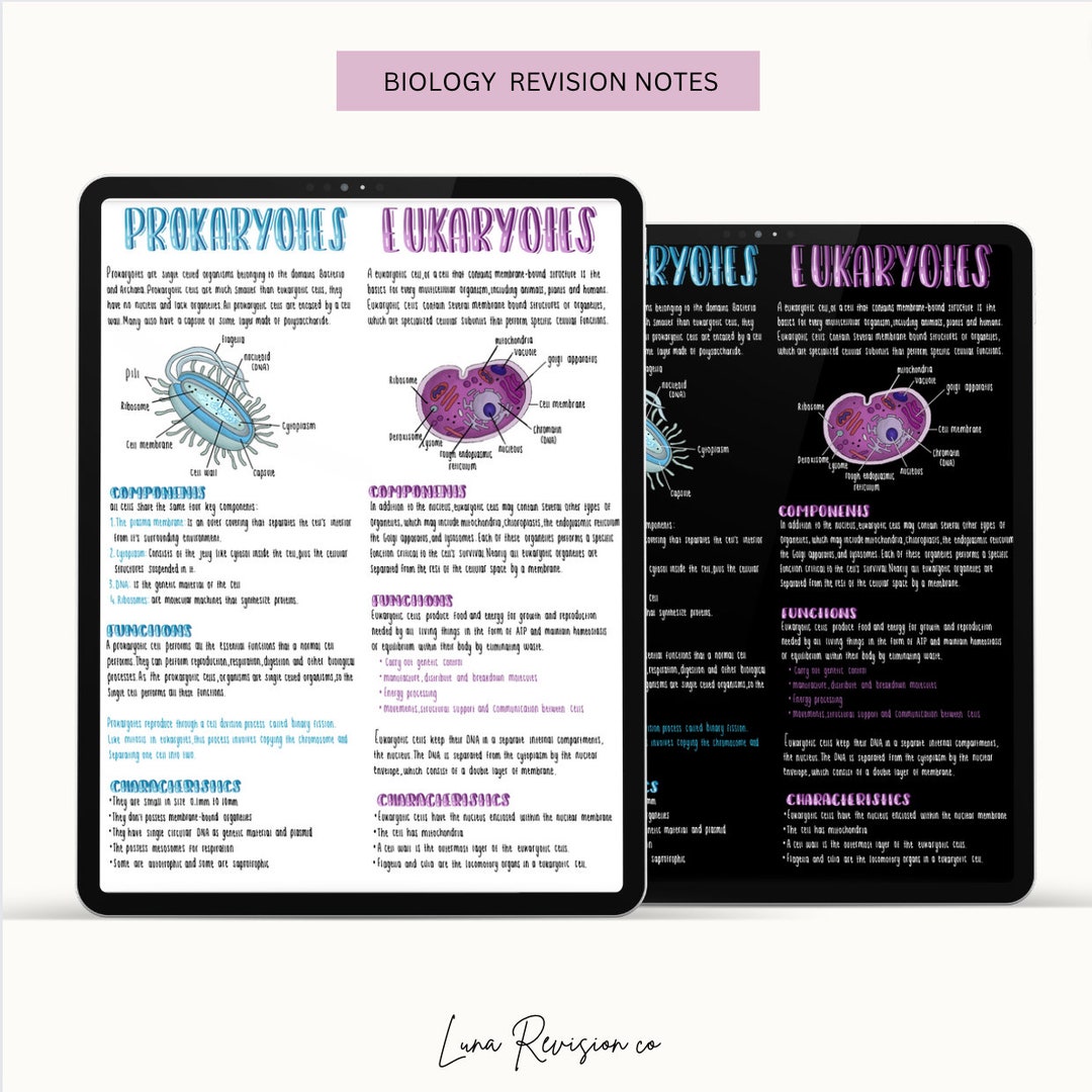 Biology Prokaryotes and Eukaryotes Revision Notes 4 Pages - Etsy