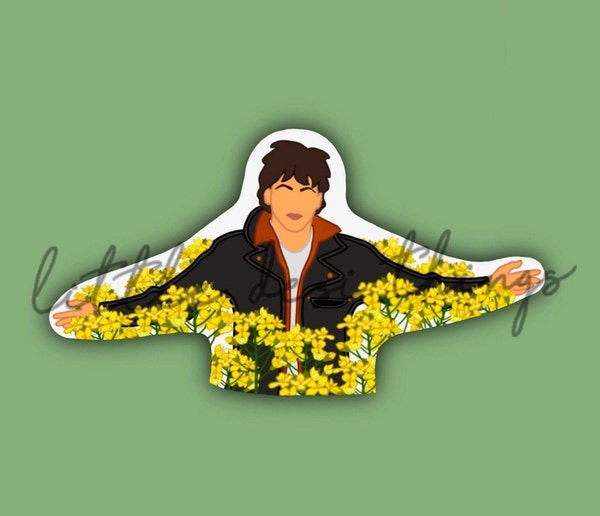 Bollywood Sticker Pack, Shahrukh Khan Stickers, Funny Bollywood Sticker ...