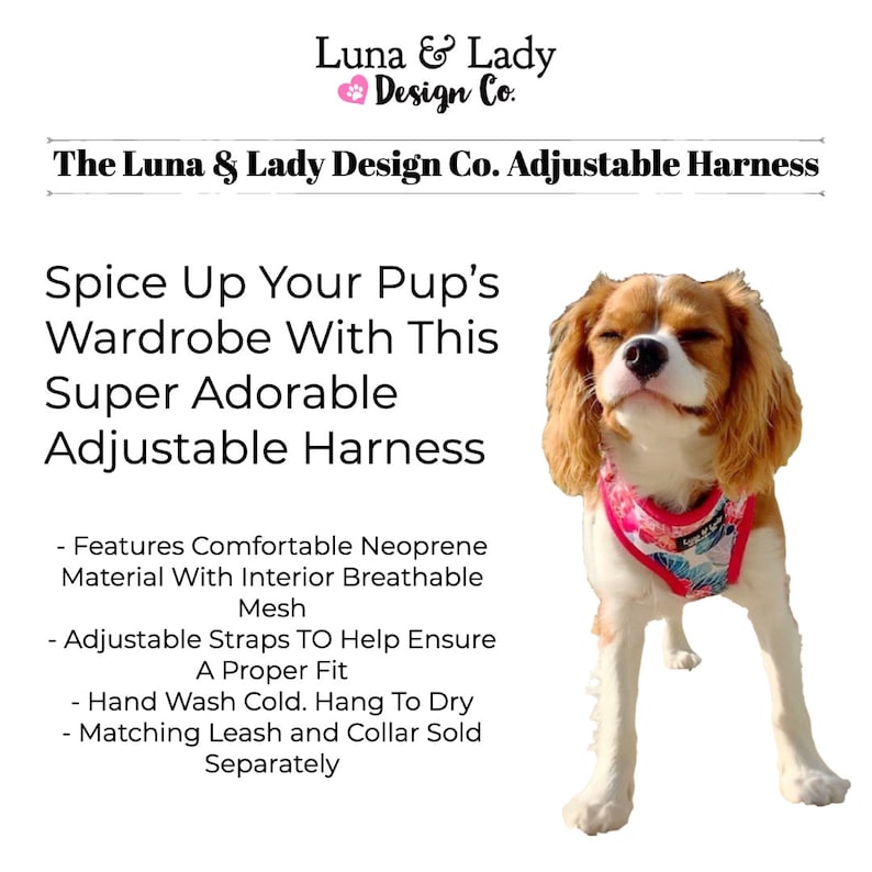 Harness for Puppy Dog Gifts | "stay Classy" Lightweight Neoprene Design ...