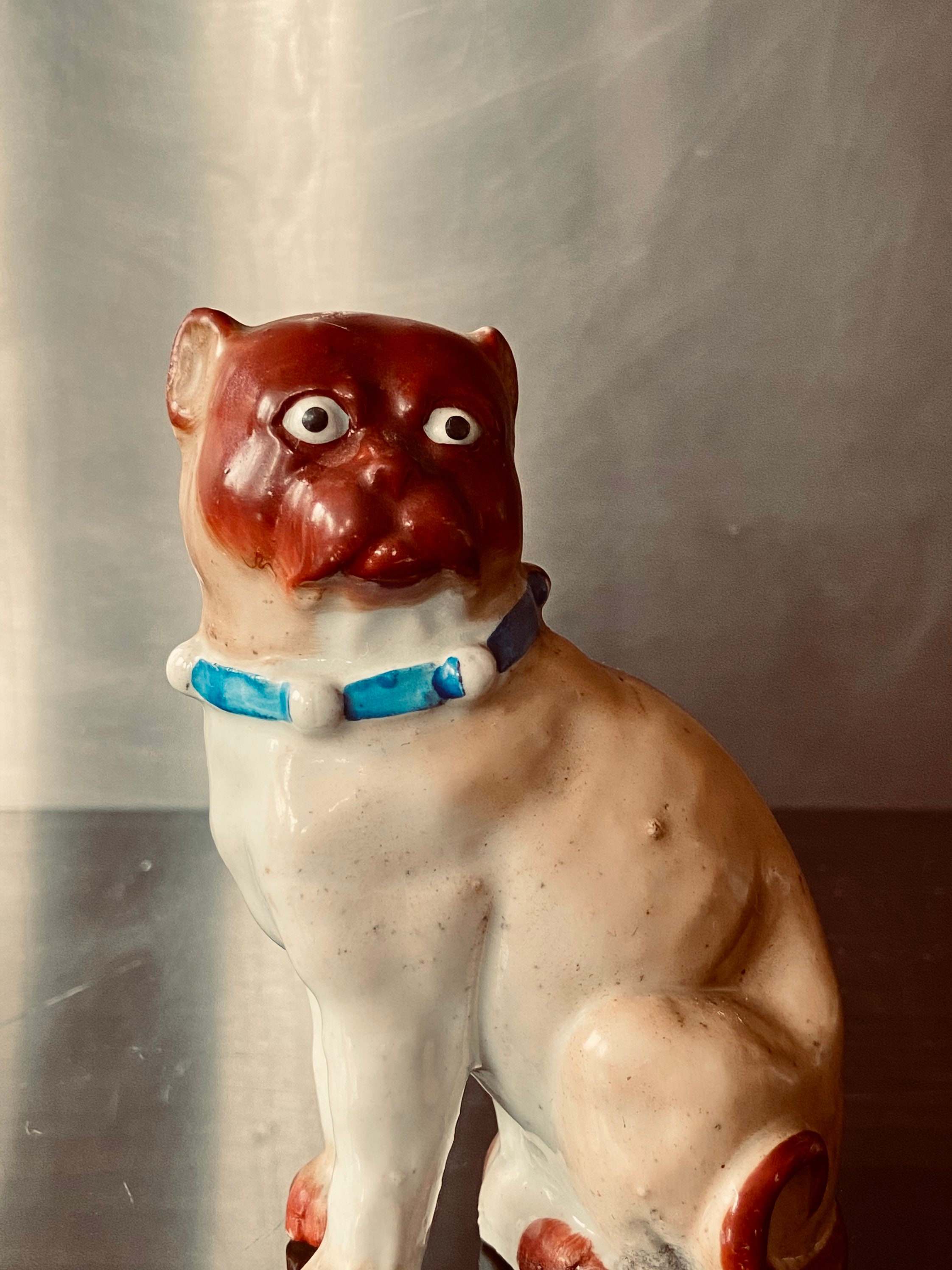 Porcelain POG the Small Muzzle and the Big Eyes a Little - Etsy