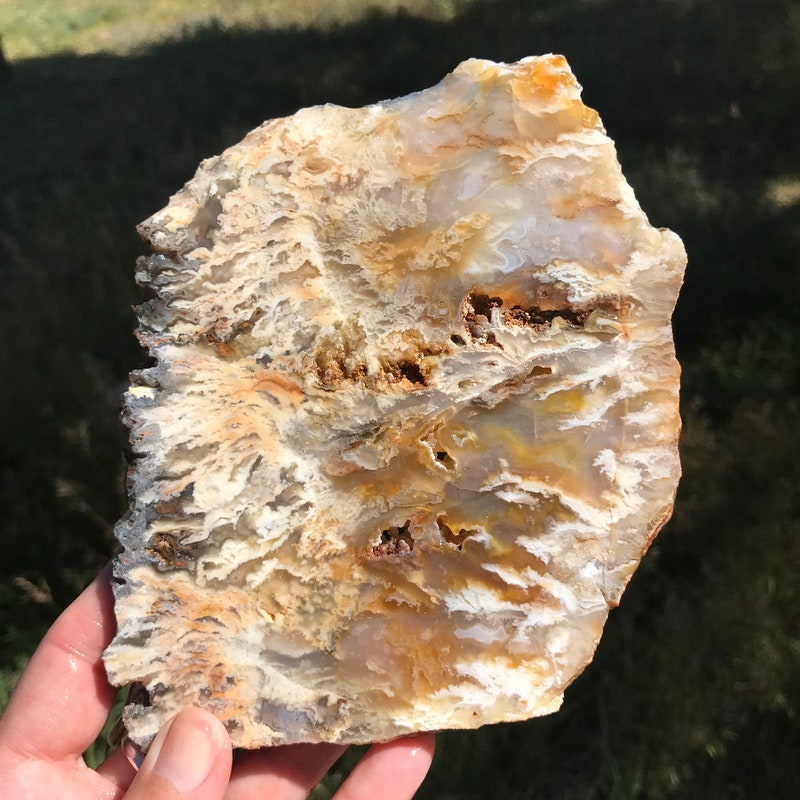 Regency Plume Agate - Etsy
