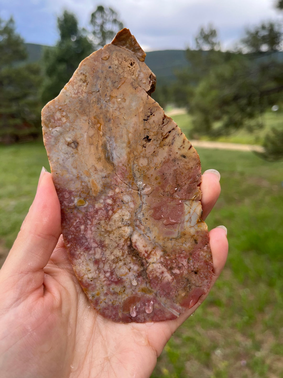 Prairie Agate Lapidary Slab Natural Stone Not Polished for Cabbing - Etsy