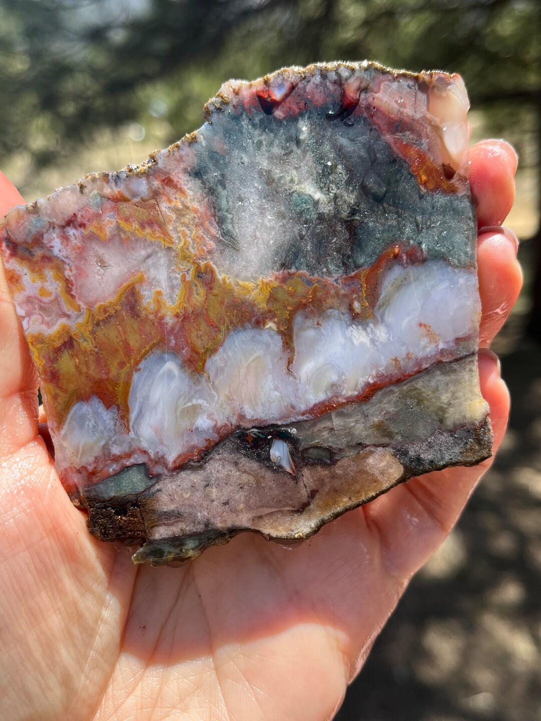 Moroccan Scenic Agate Lapidary Slab Natural Stone Not Polished for ...