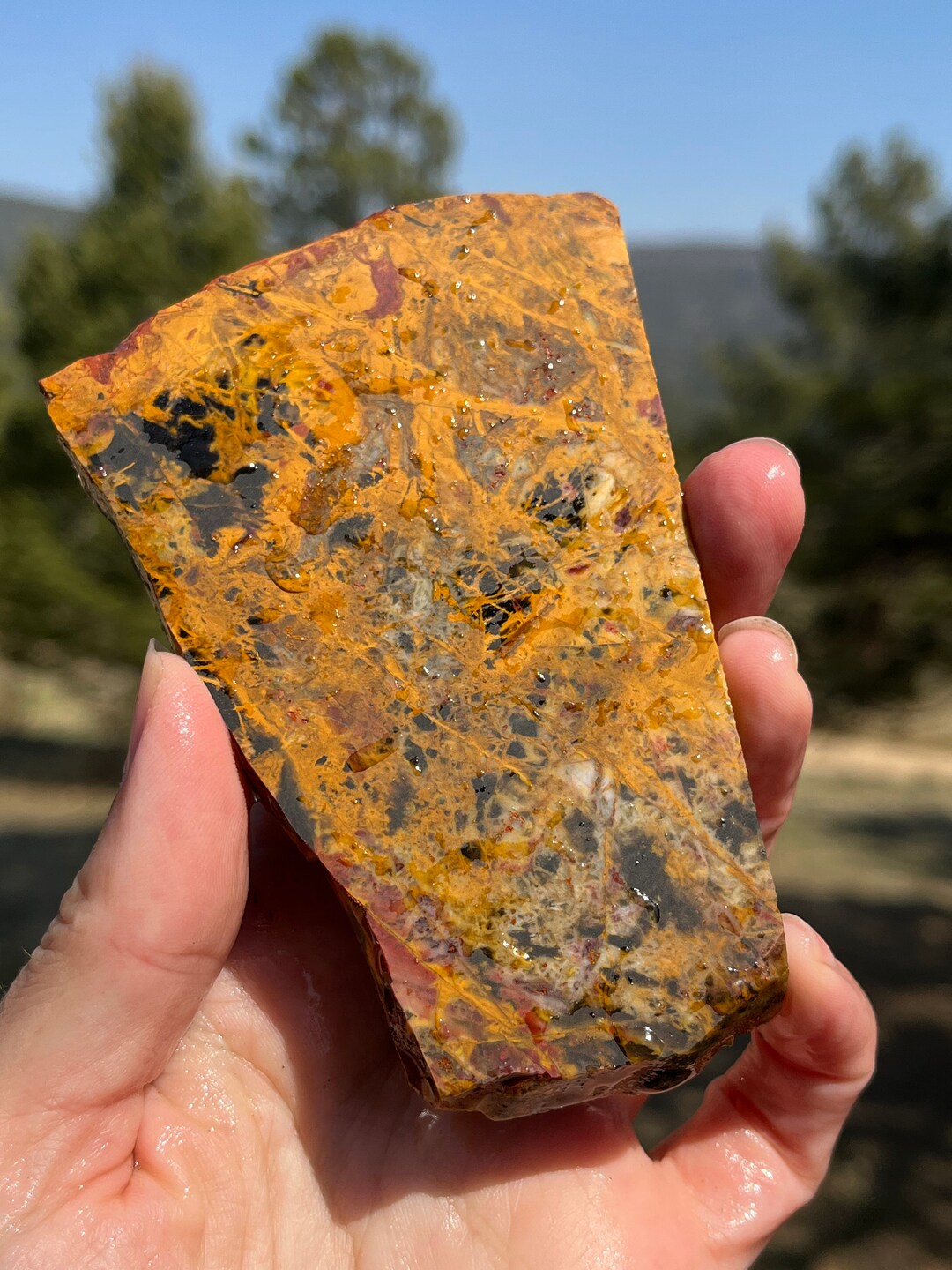 Pilbara Jasper Lapidary Slab Natural Stone Not Polished for - Etsy